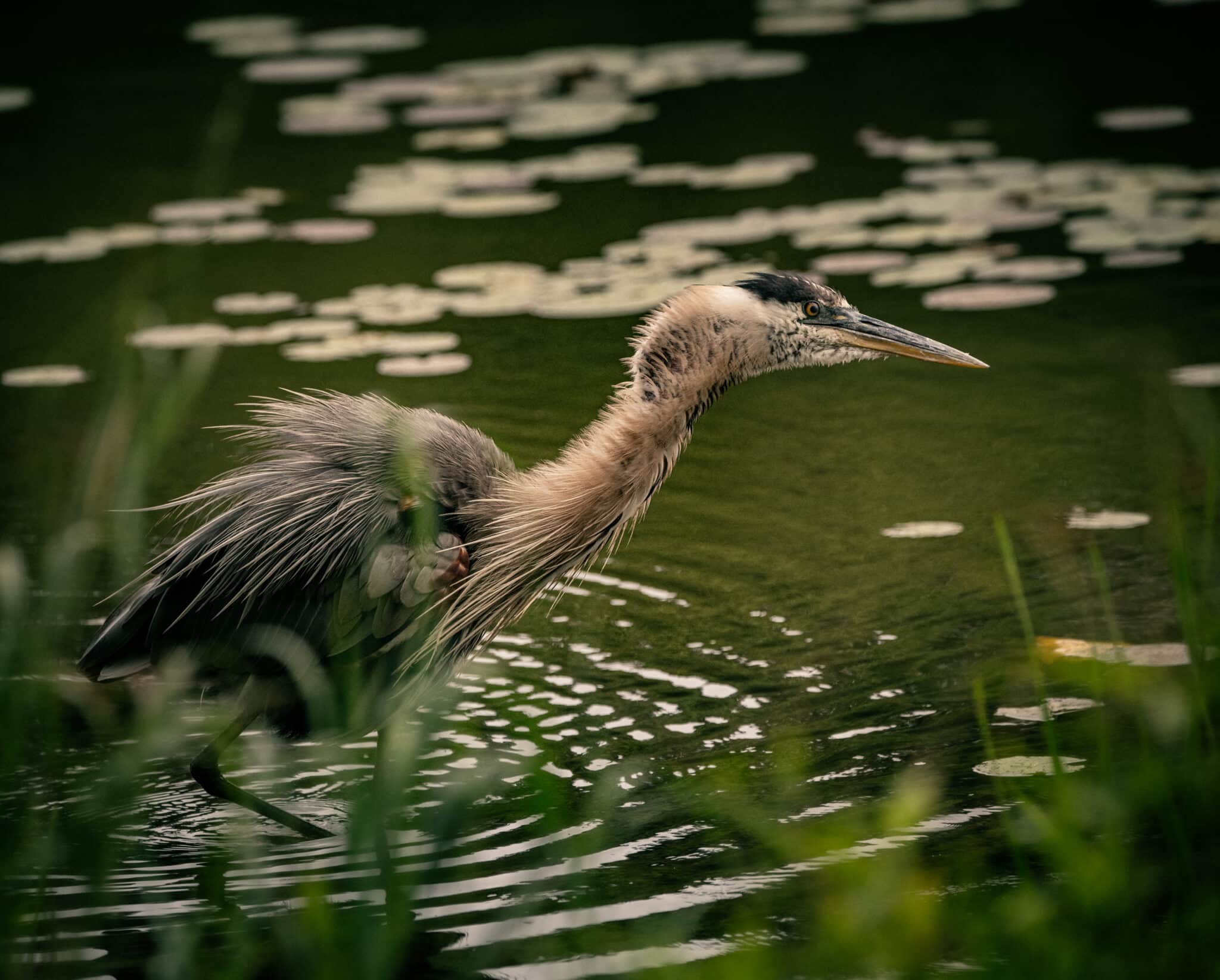 Level Up With These 10 Nature Photography Tips - WDO Photography