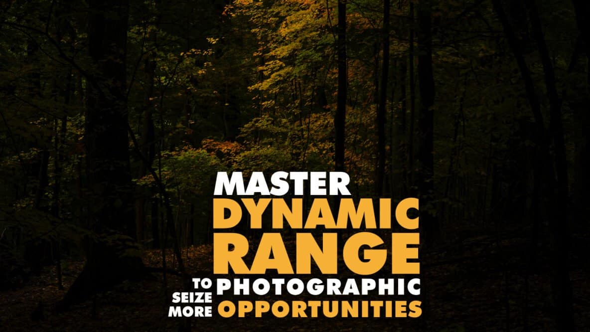 Master Dynamic Range - WDO Photography