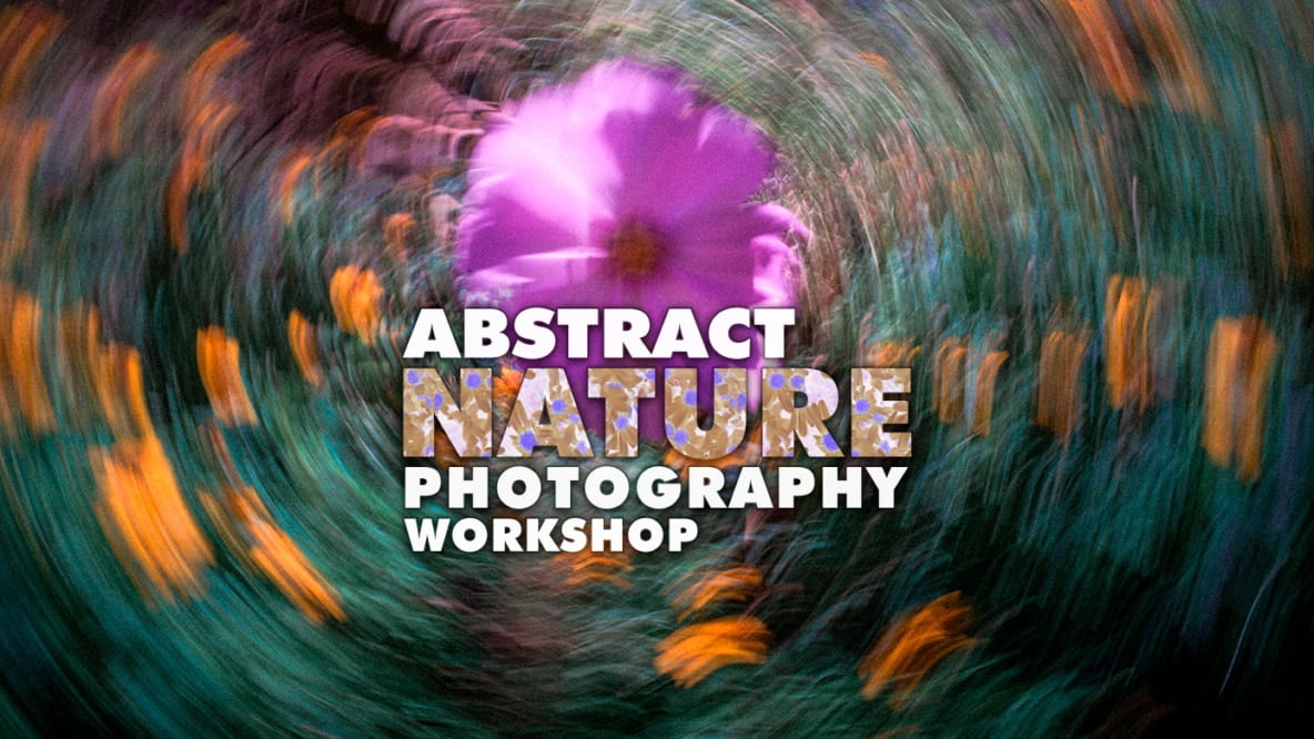 Make Magical Photos: The Abstract Nature Photography Workshop