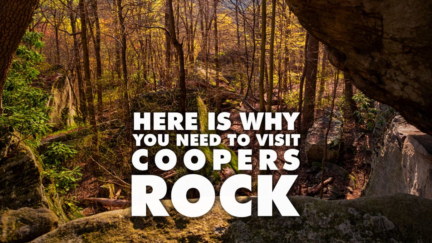 Here's Why You Need To Photograph Coopers Rock | WDO Photo
